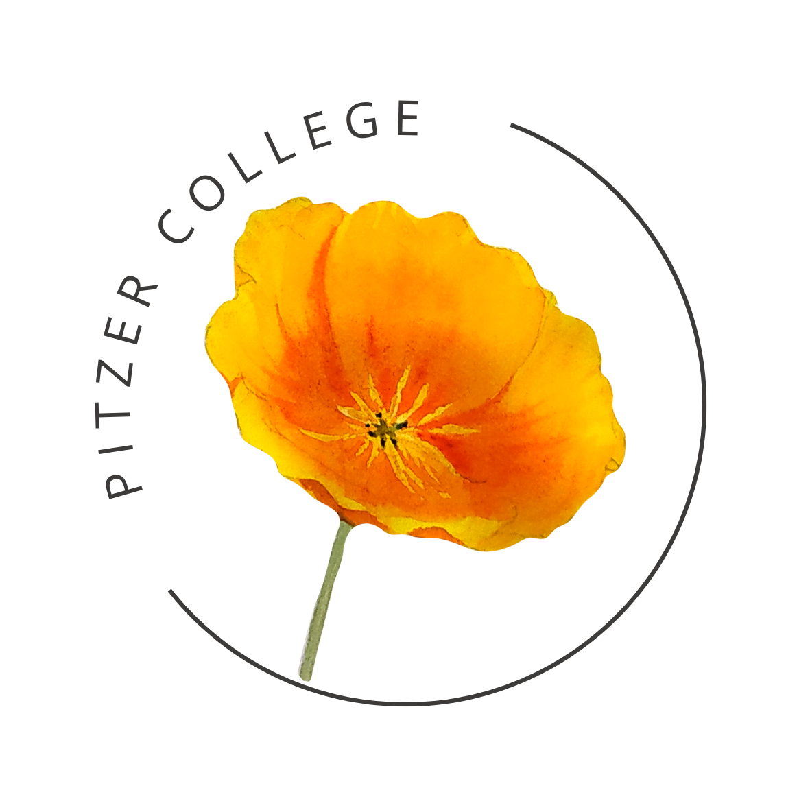 pitzer logo